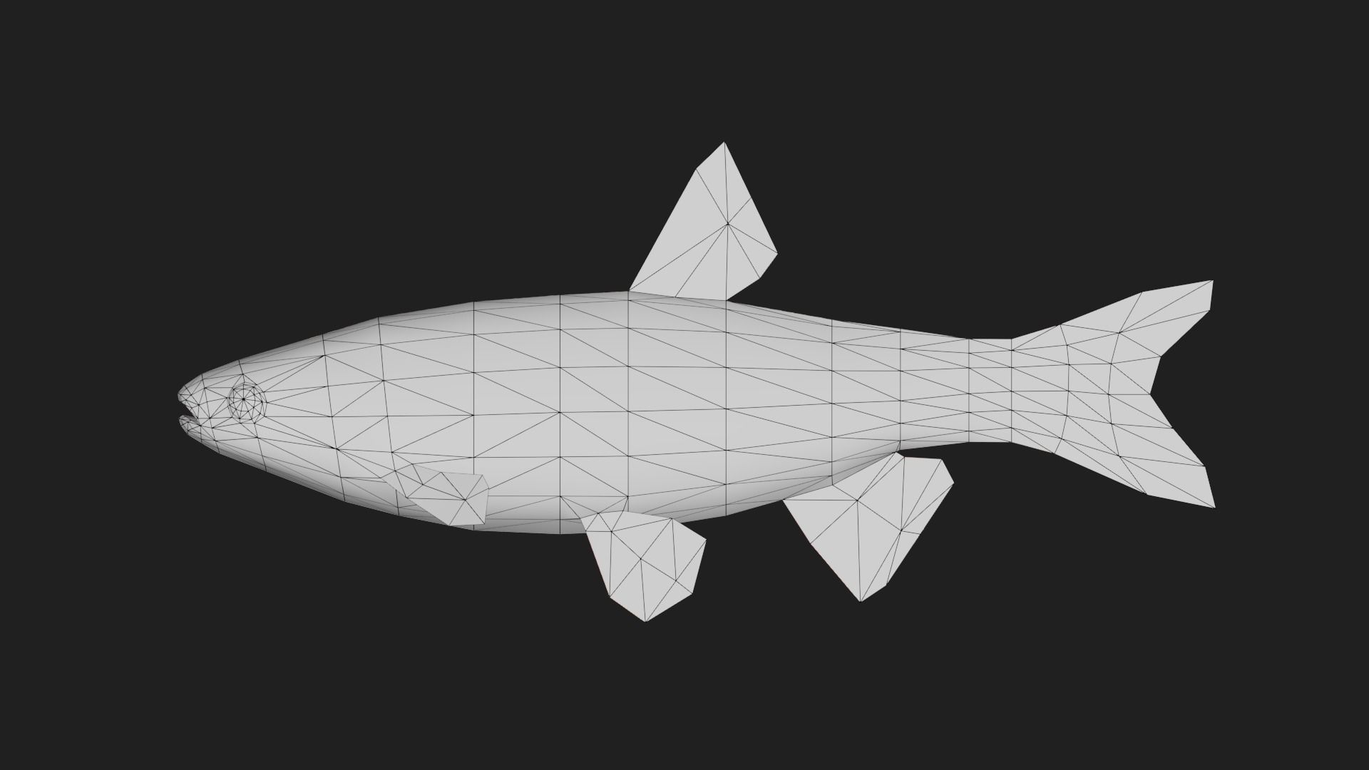 3D model Chubfish VR / AR / low-poly | CGTrader