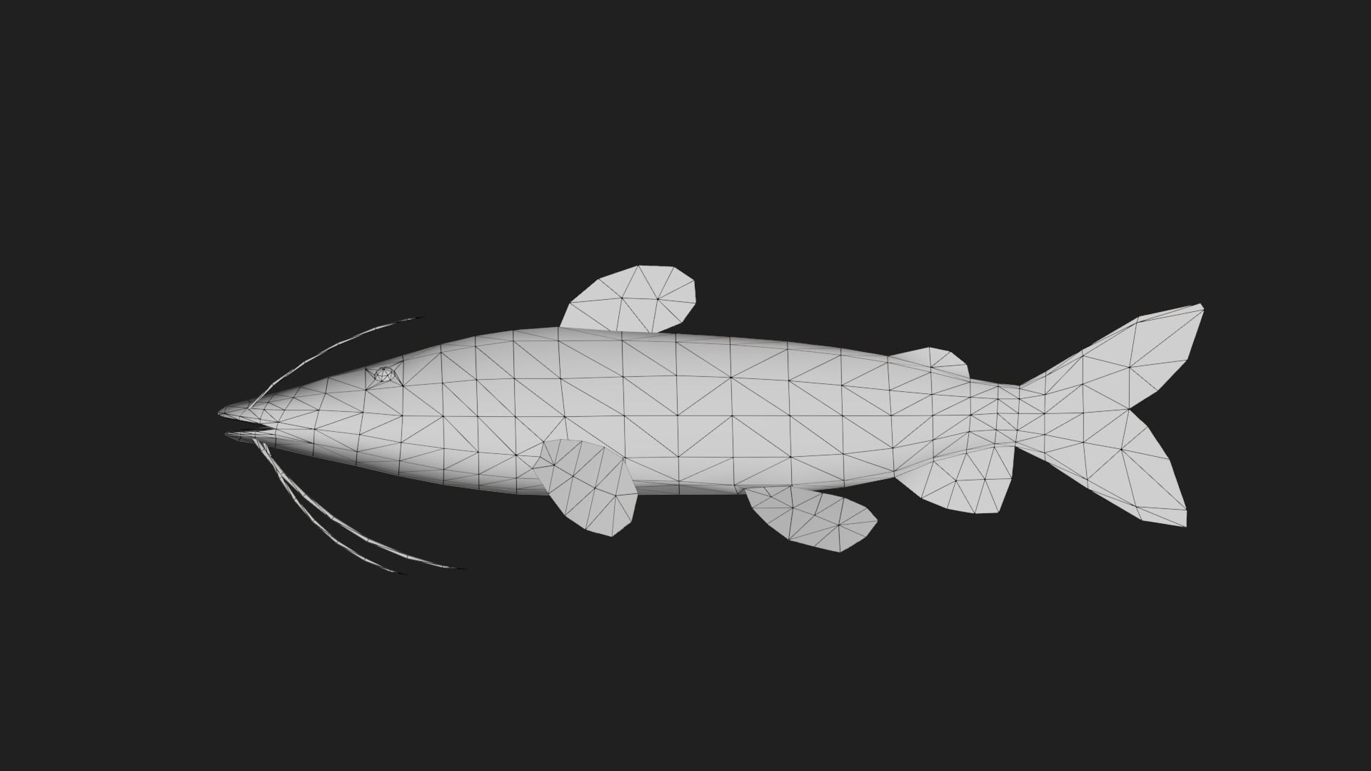 3D model Catfish VR / AR / low-poly | CGTrader