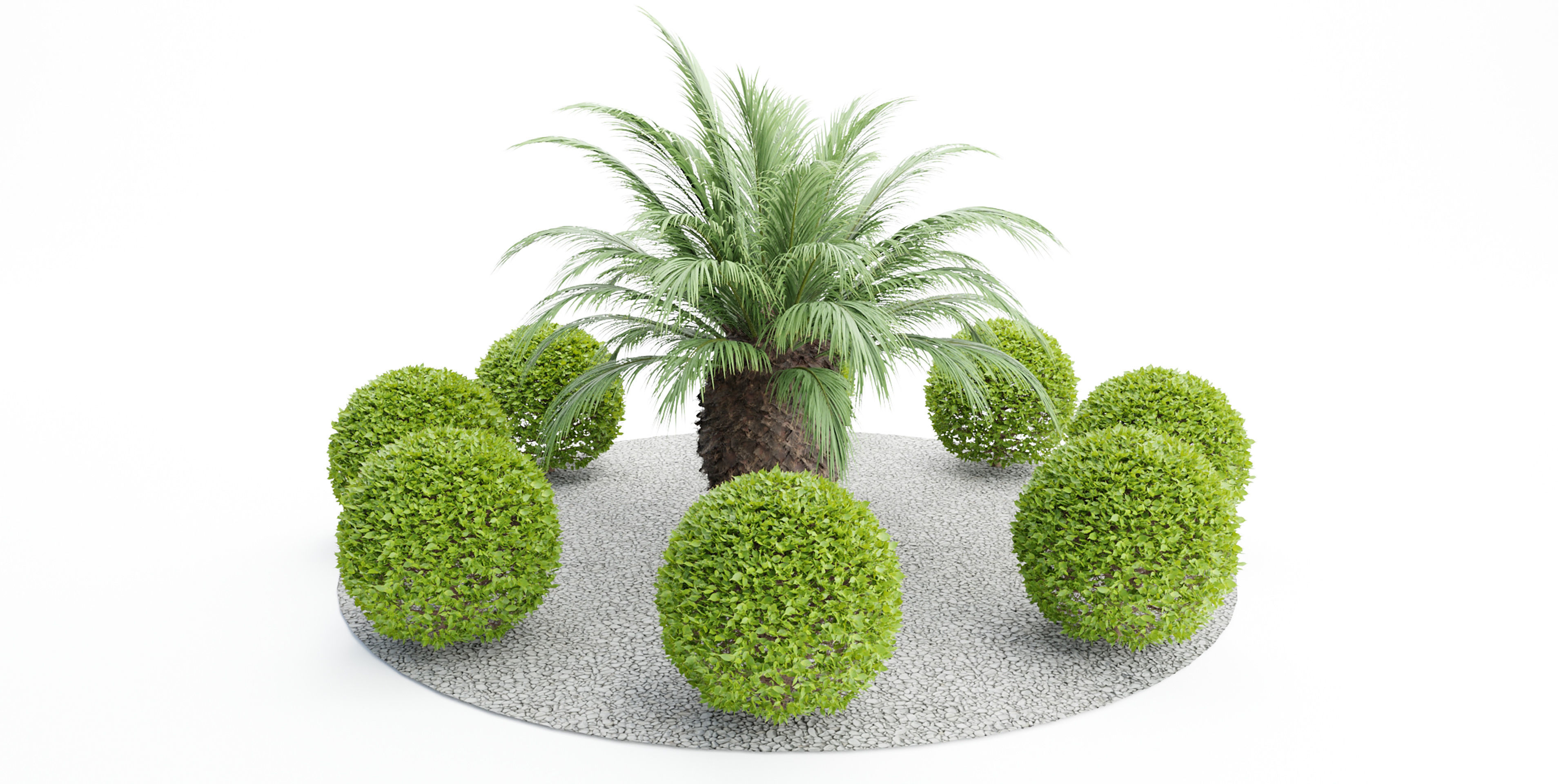 outdoor plants collection vol 24-Blender 3D model | CGTrader