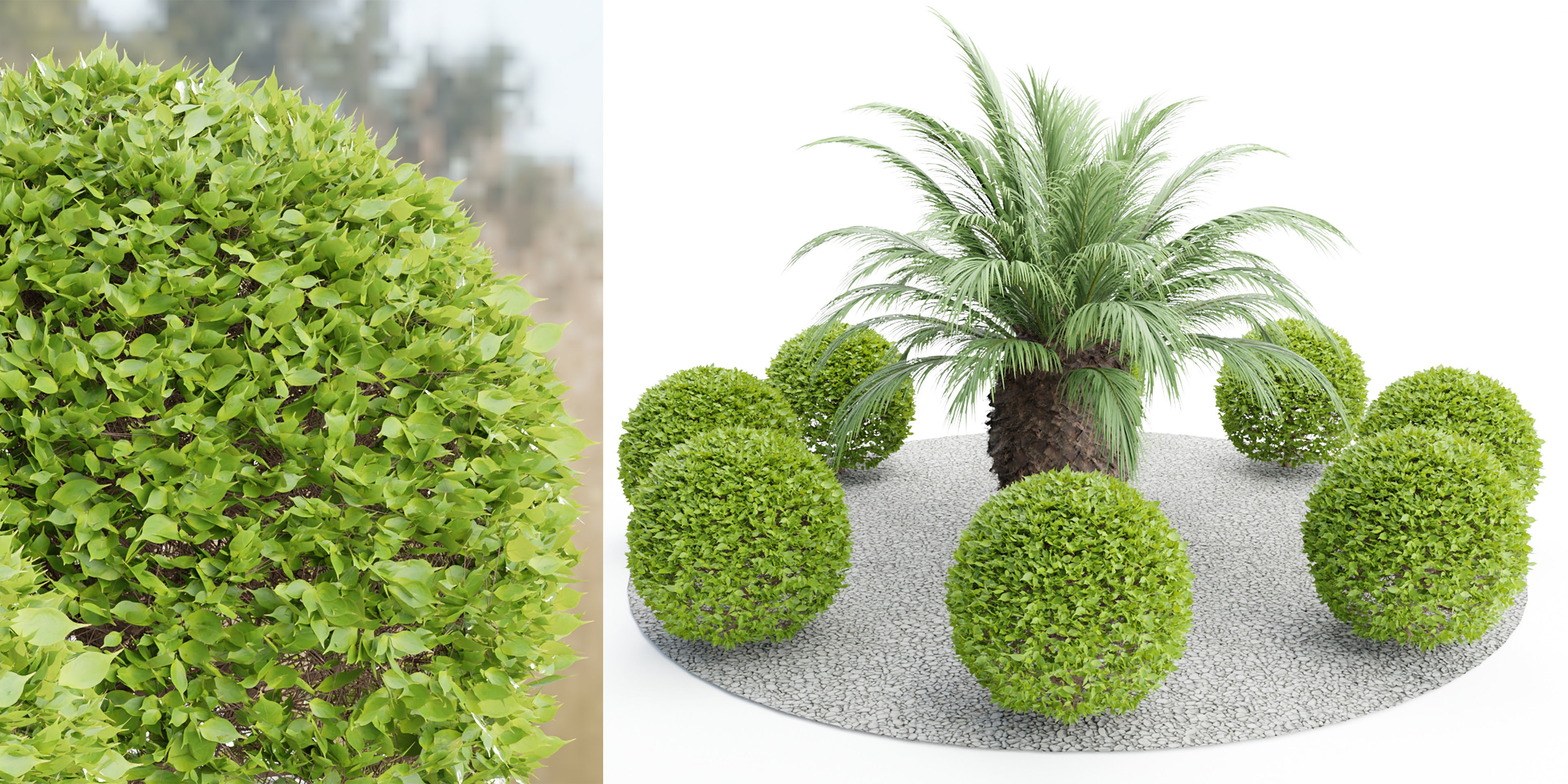 outdoor plants collection vol 24-Blender 3D model | CGTrader