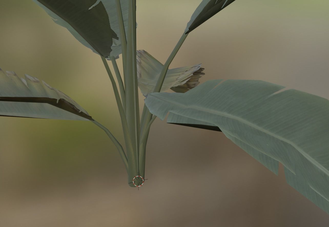 3D model banana trees 2 VR / AR / low-poly | CGTrader
