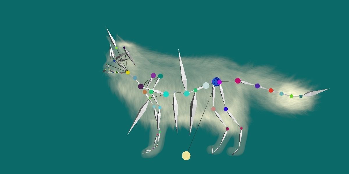 Maine Coon Cat 3D model animated rigged | CGTrader