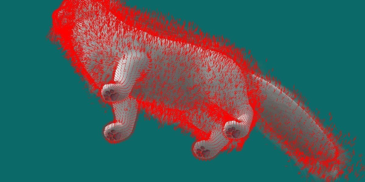 Maine Coon Cat 3D model animated rigged | CGTrader