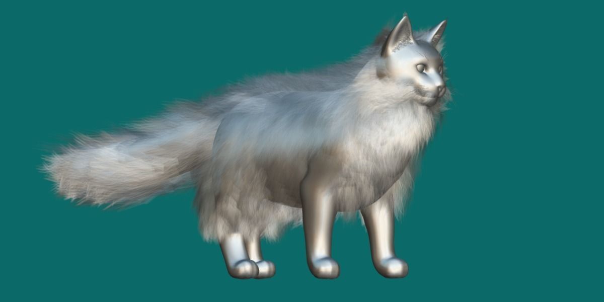 Maine Coon Cat 3D model animated rigged | CGTrader