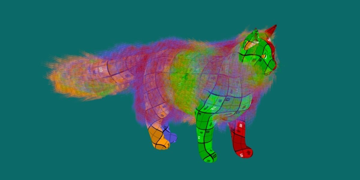 Maine Coon Cat 3D model animated rigged | CGTrader