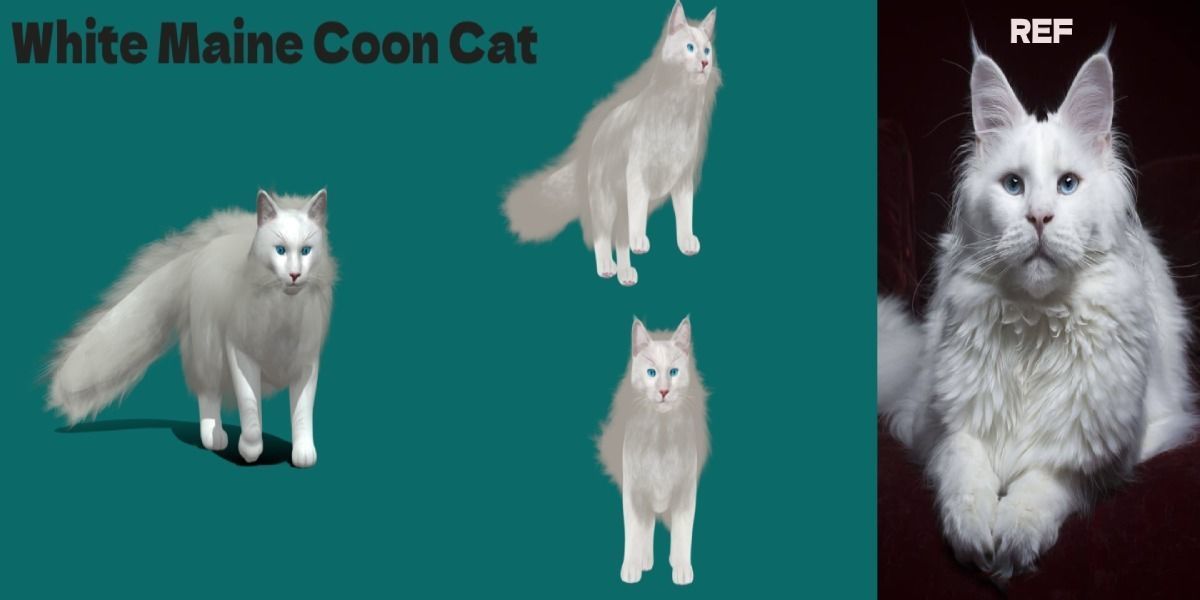 Maine Coon Cat 3D model animated rigged | CGTrader
