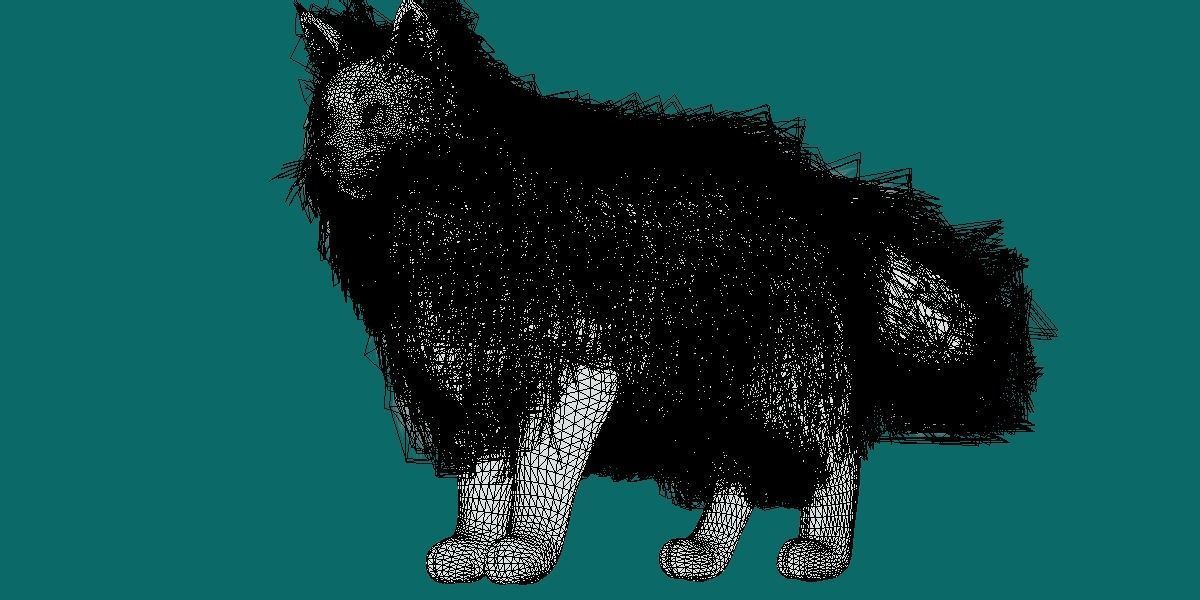 Maine Coon Cat 3D model animated rigged | CGTrader