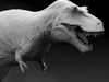 Tyrannosaurus rex Scotty 3D model 3D printable | CGTrader