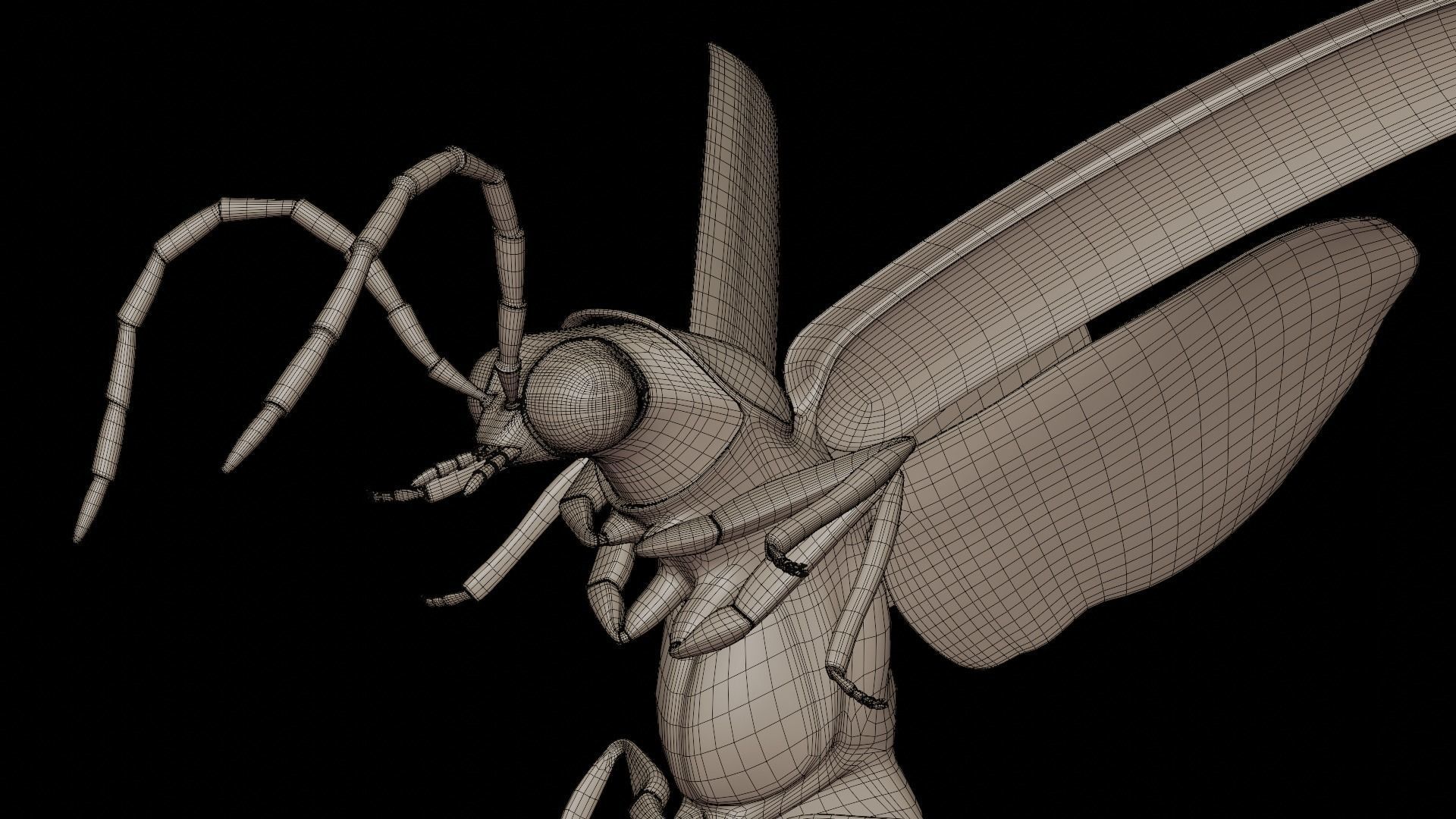 3D model Realistic Firefly Insect - Rigged - Animated VR / AR / low ...