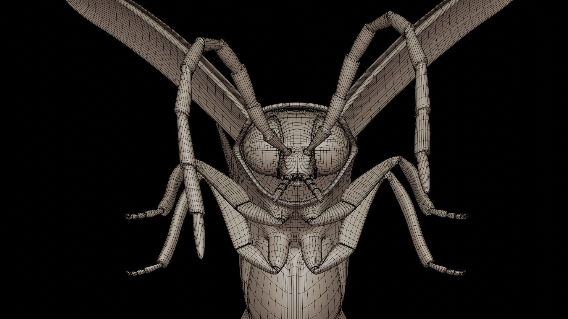 3D model Realistic Firefly Insect - Rigged - Animated VR / AR / low ...