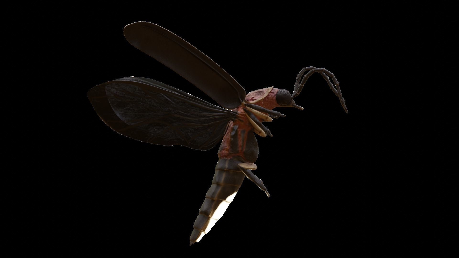 3D model Realistic Firefly Insect - Rigged - Animated VR / AR / low ...