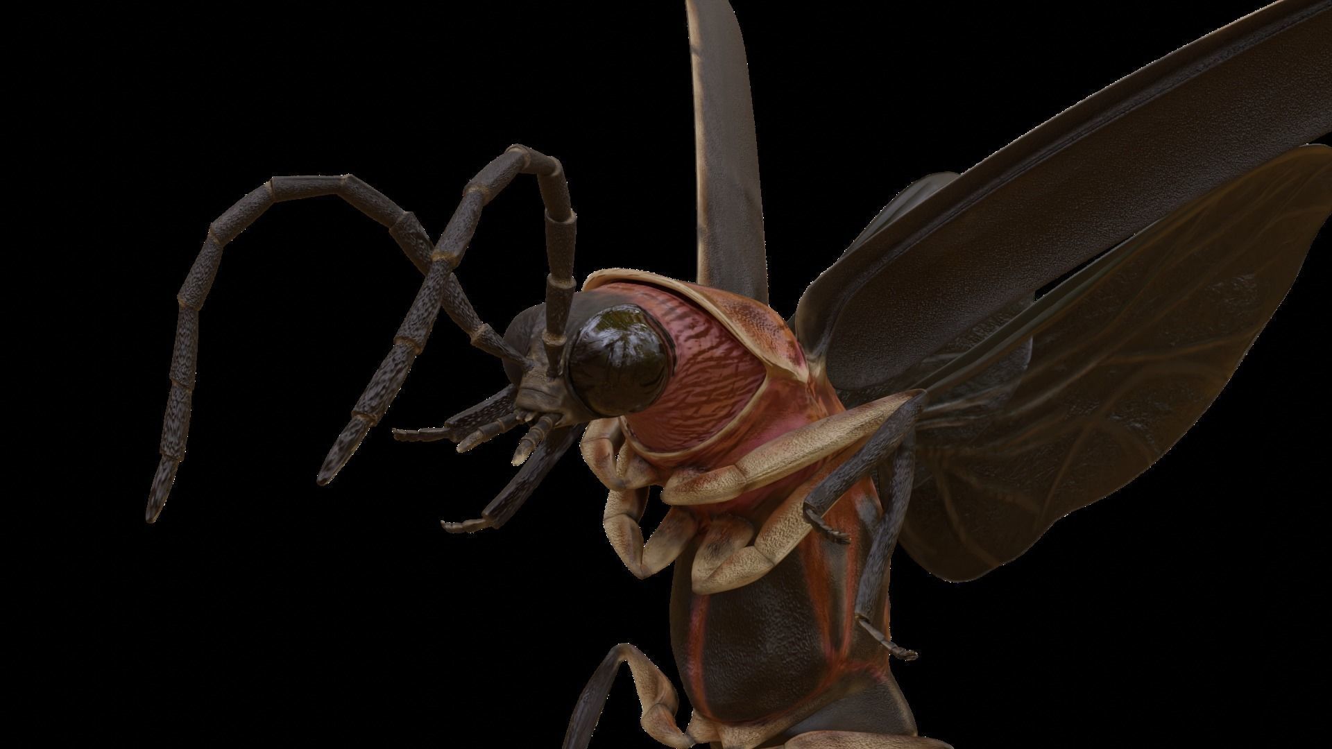 3D model Realistic Firefly Insect - Rigged - Animated VR / AR / low ...