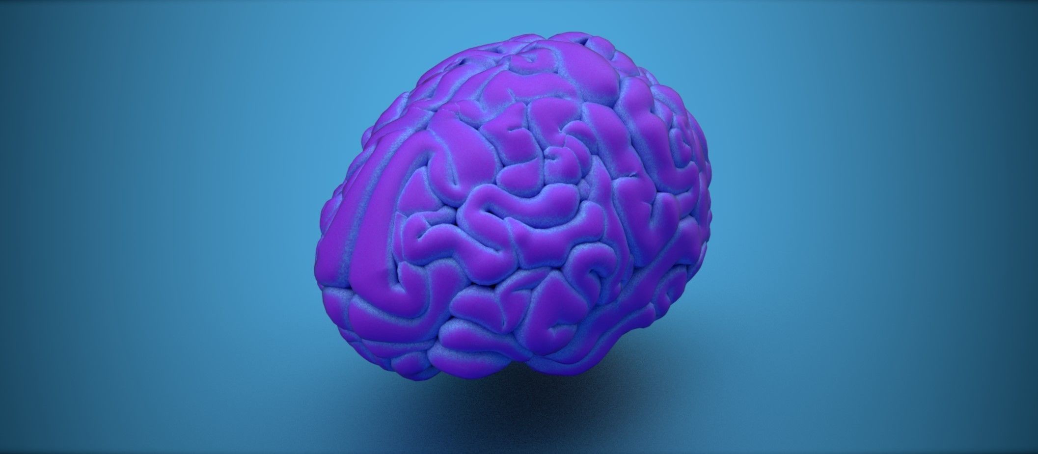 3D model 3d rigged and animated brain model VR / AR / low-poly | CGTrader