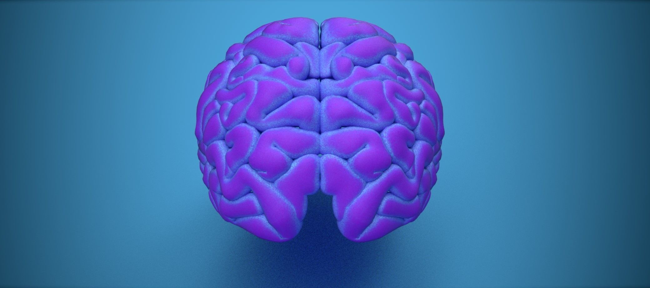 3D model 3d rigged and animated brain model VR / AR / low-poly | CGTrader