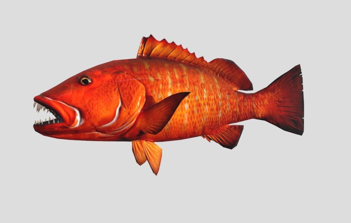 3D model Cubera Snapper Realistic Animated VR / AR / low-poly | CGTrader