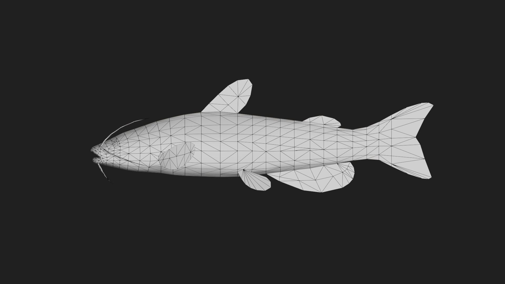 3D model Catfish VR / AR / low-poly | CGTrader
