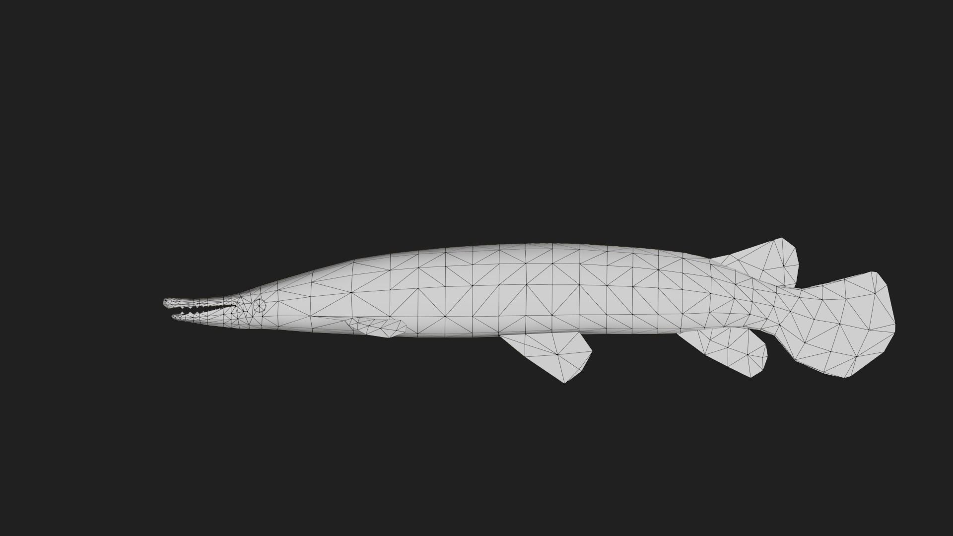 3D model Alligatorgarc VR / AR / low-poly | CGTrader