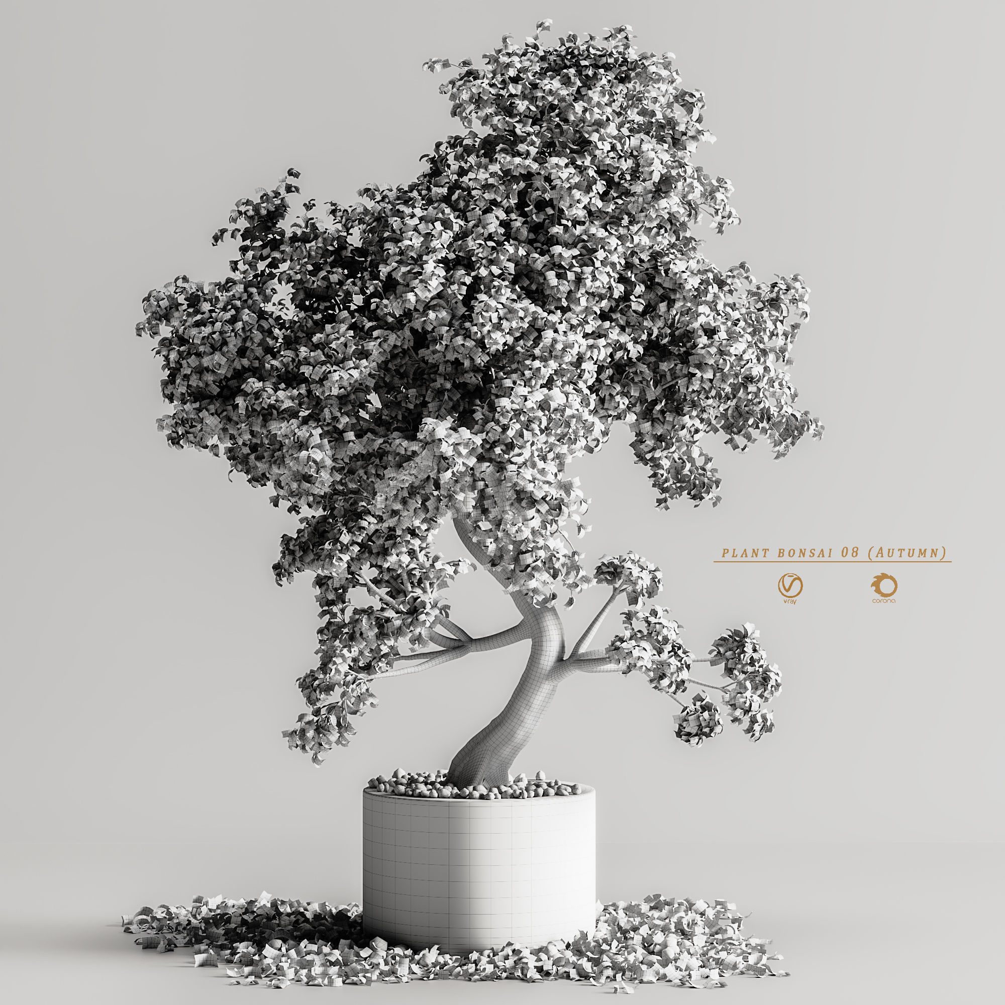 plant bonsai 08 Autumn 3D model | CGTrader
