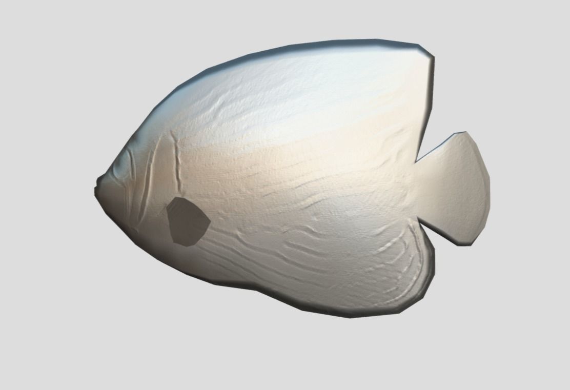 3D model Emperor Angelfish Realistic Animated VR / AR / low-poly | CGTrader
