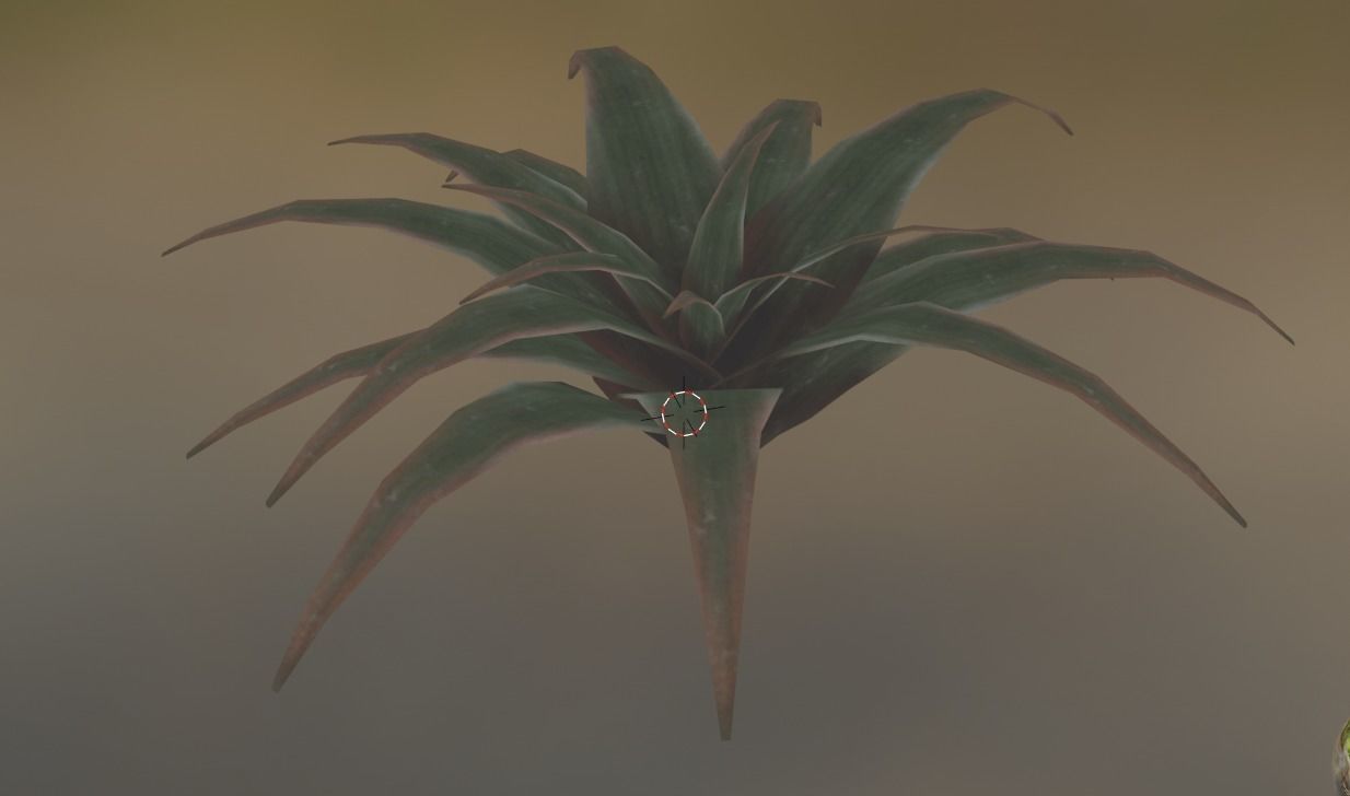 3D model cactus star tree VR / AR / low-poly | CGTrader