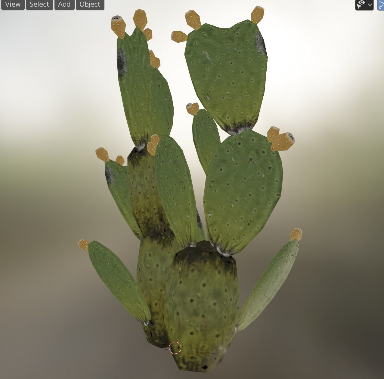 3D model cactus tree VR / AR / low-poly | CGTrader
