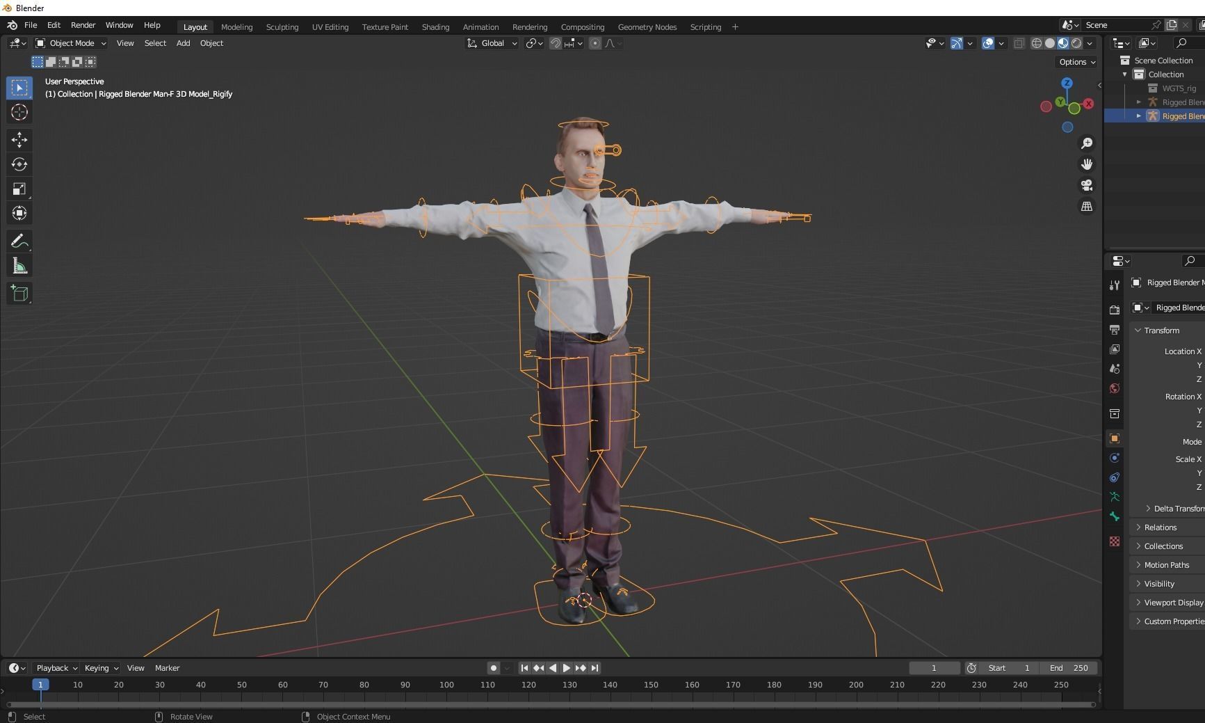Rigged Blender Man-F 3D Model 3D model | CGTrader