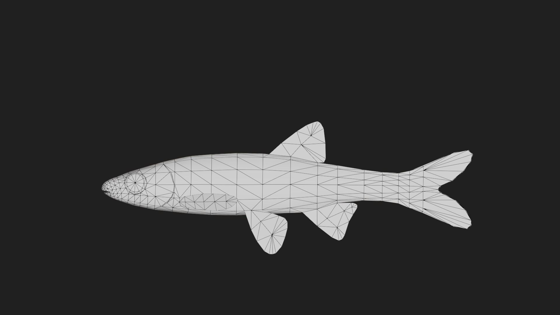 3D model Carp fish VR / AR / low-poly | CGTrader