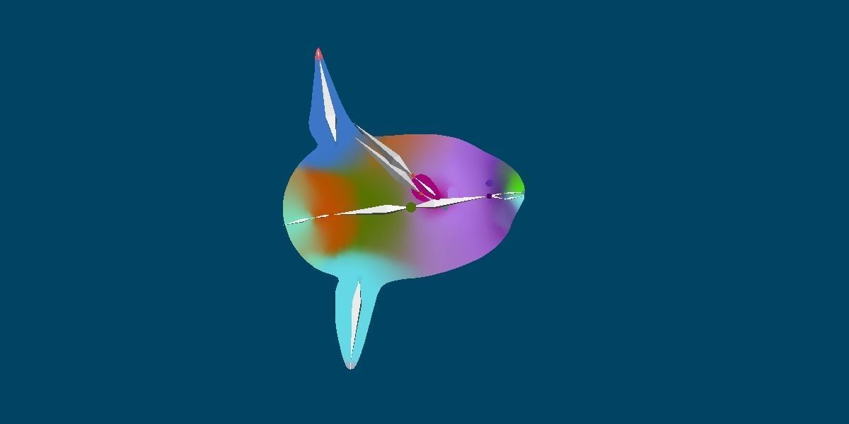 Ocean Sunfish Mola 3D model animated rigged | CGTrader