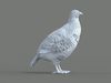 partridge 3D model 3D printable | CGTrader