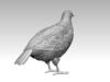 partridge 3D model 3D printable | CGTrader
