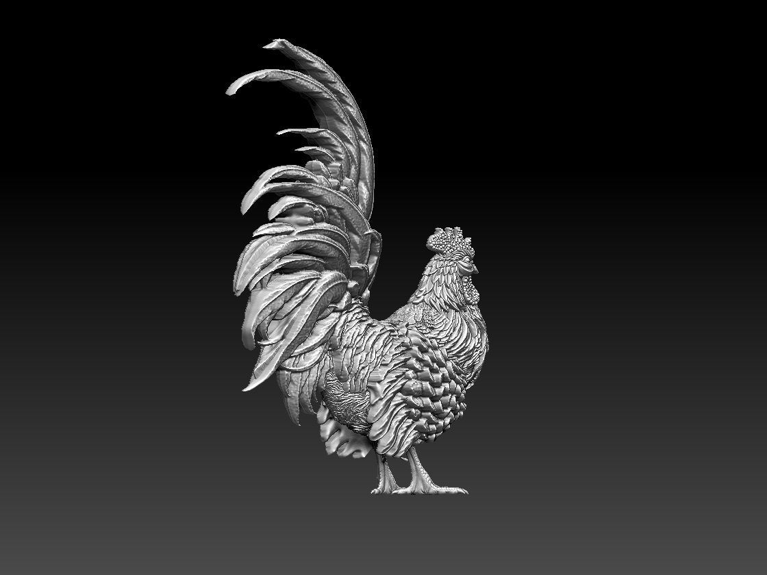 rooster 3D model 3D printable | CGTrader