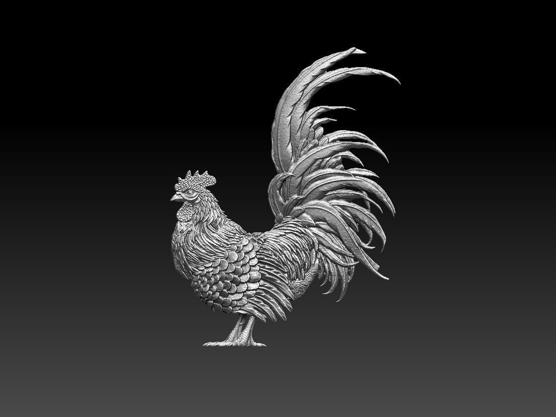 rooster 3D model 3D printable | CGTrader