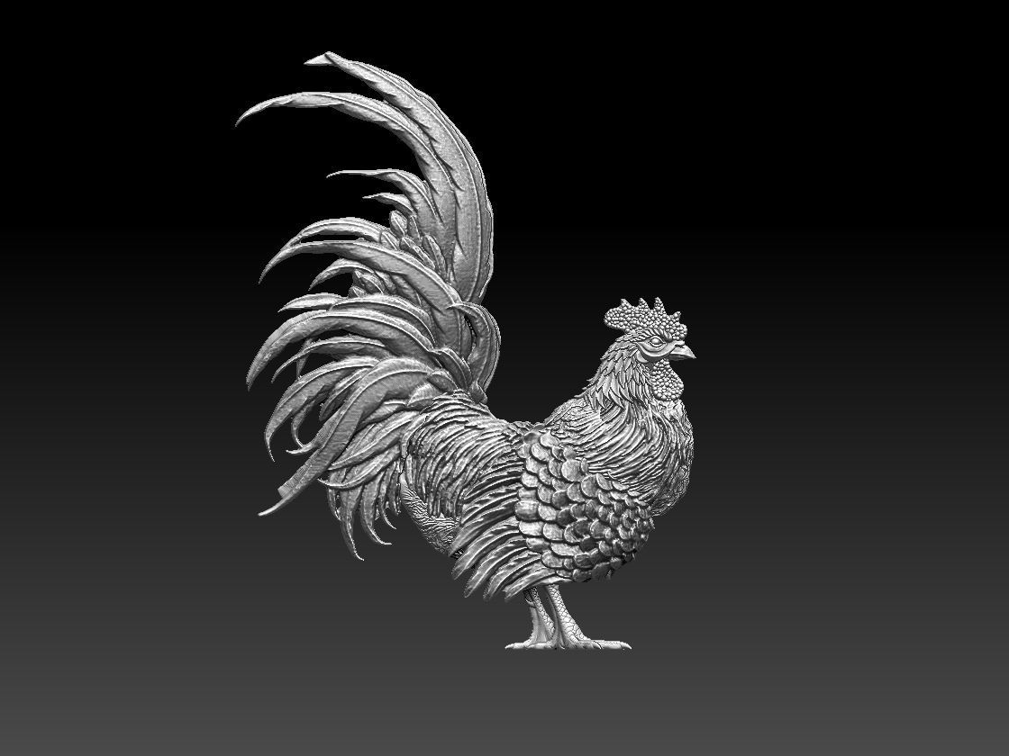 rooster 3D model 3D printable | CGTrader
