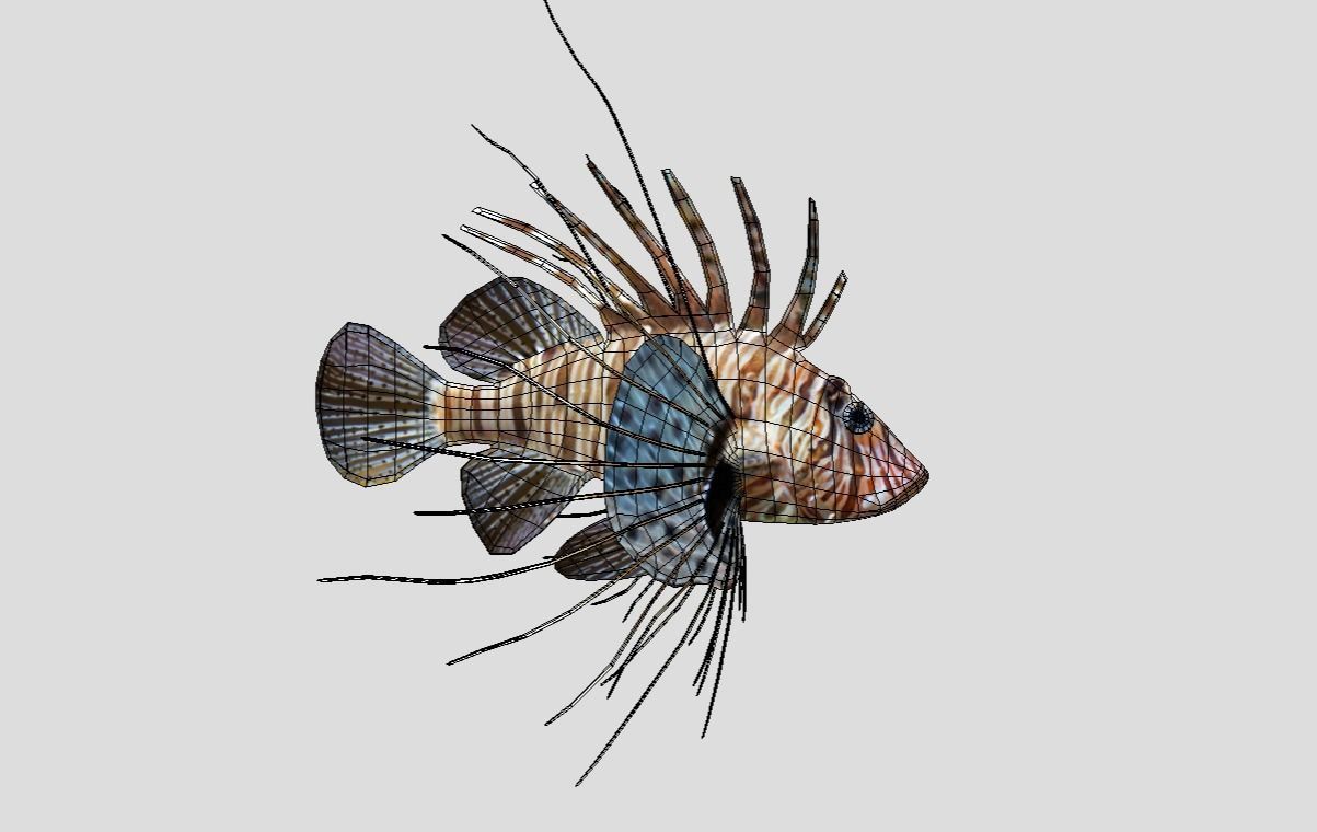 3D model Lionfish Realistic Animated VR / AR / low-poly | CGTrader