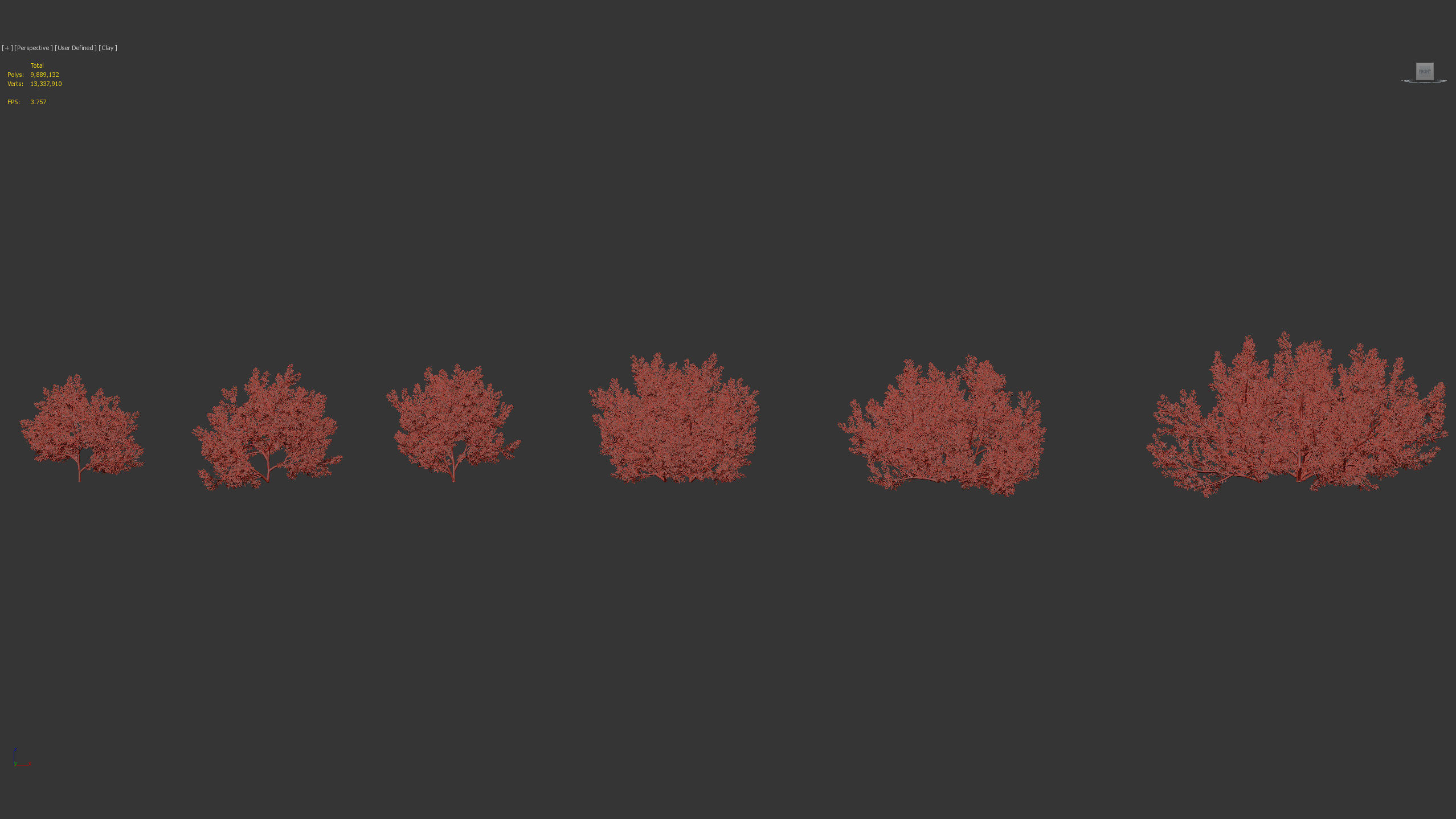 Californian lilac Ceanothus spp 3D model | CGTrader