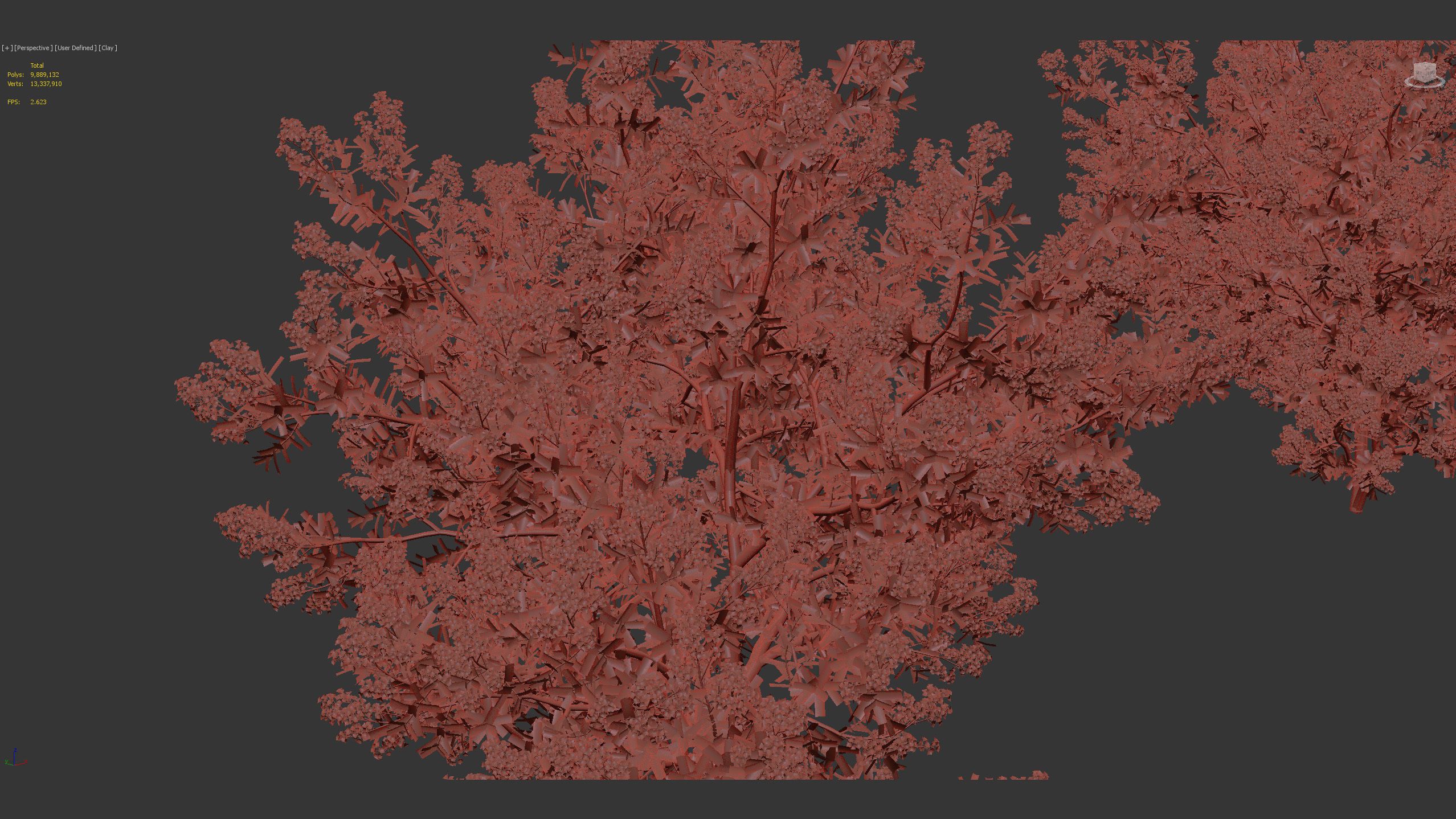 Californian lilac Ceanothus spp 3D model | CGTrader