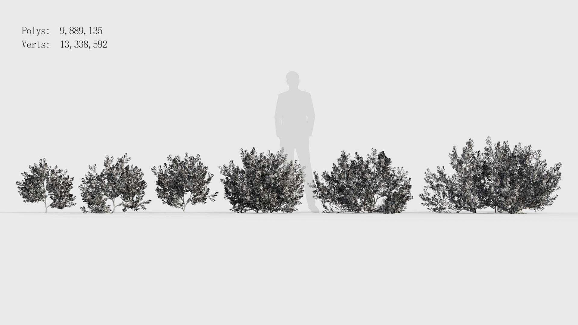 Californian lilac Ceanothus spp 3D model | CGTrader