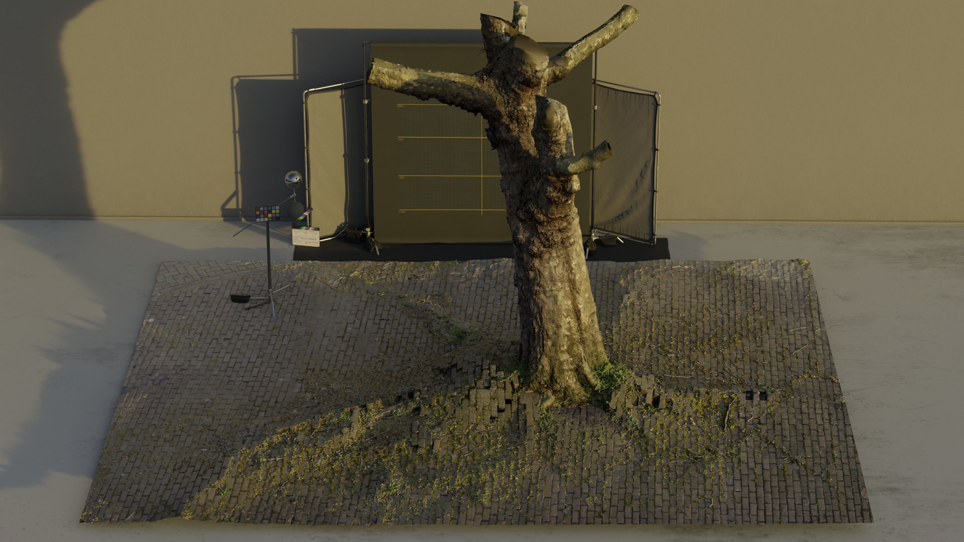 3D model Photogrammetry Model of a London Plane Tree with Broken Ground ...