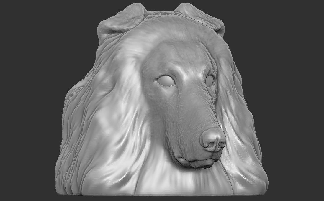 Rough Collie dog head for 3D printing 3D model 3D printable | CGTrader