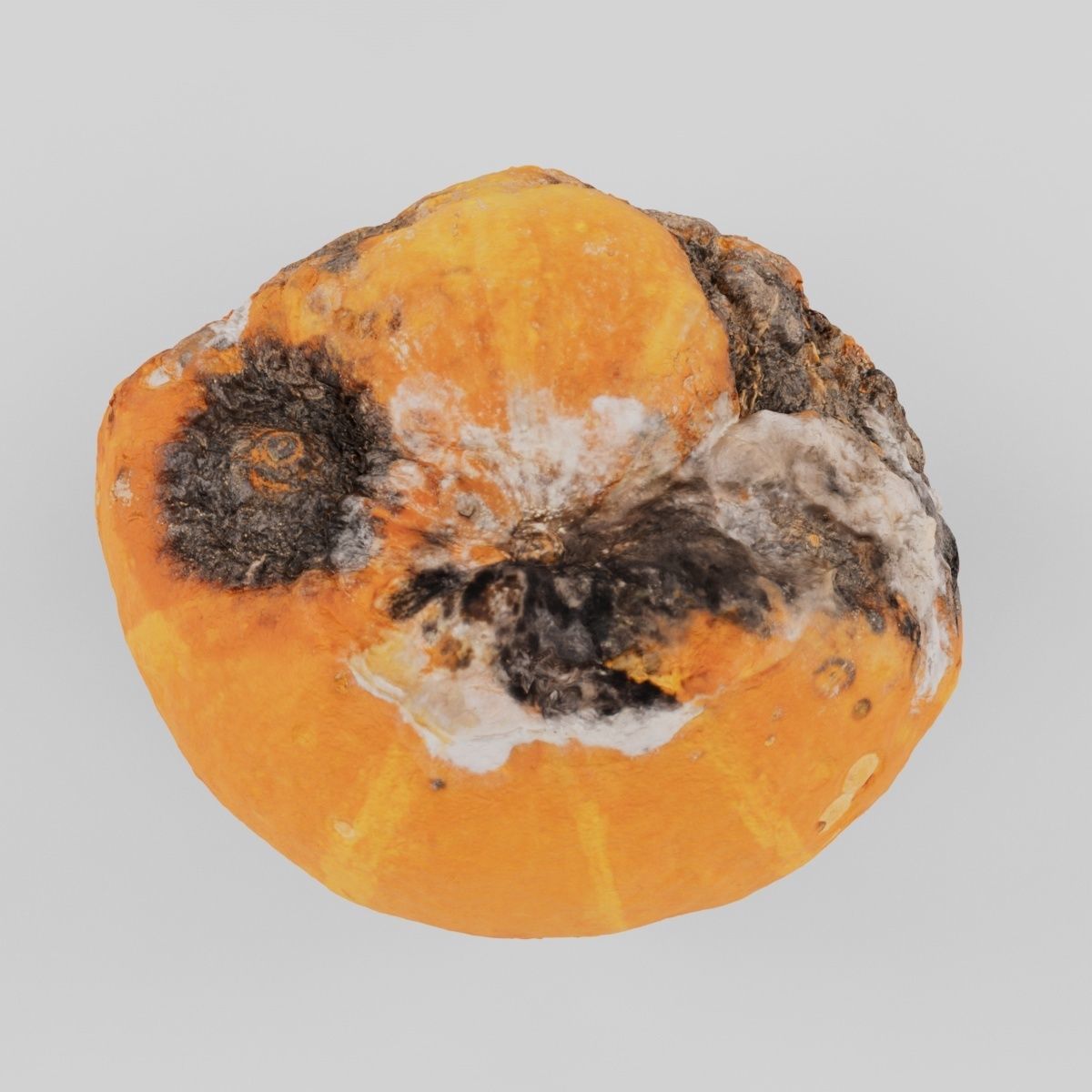 3D model Moldy pumpkin - Photoscan VR / AR / low-poly | CGTrader
