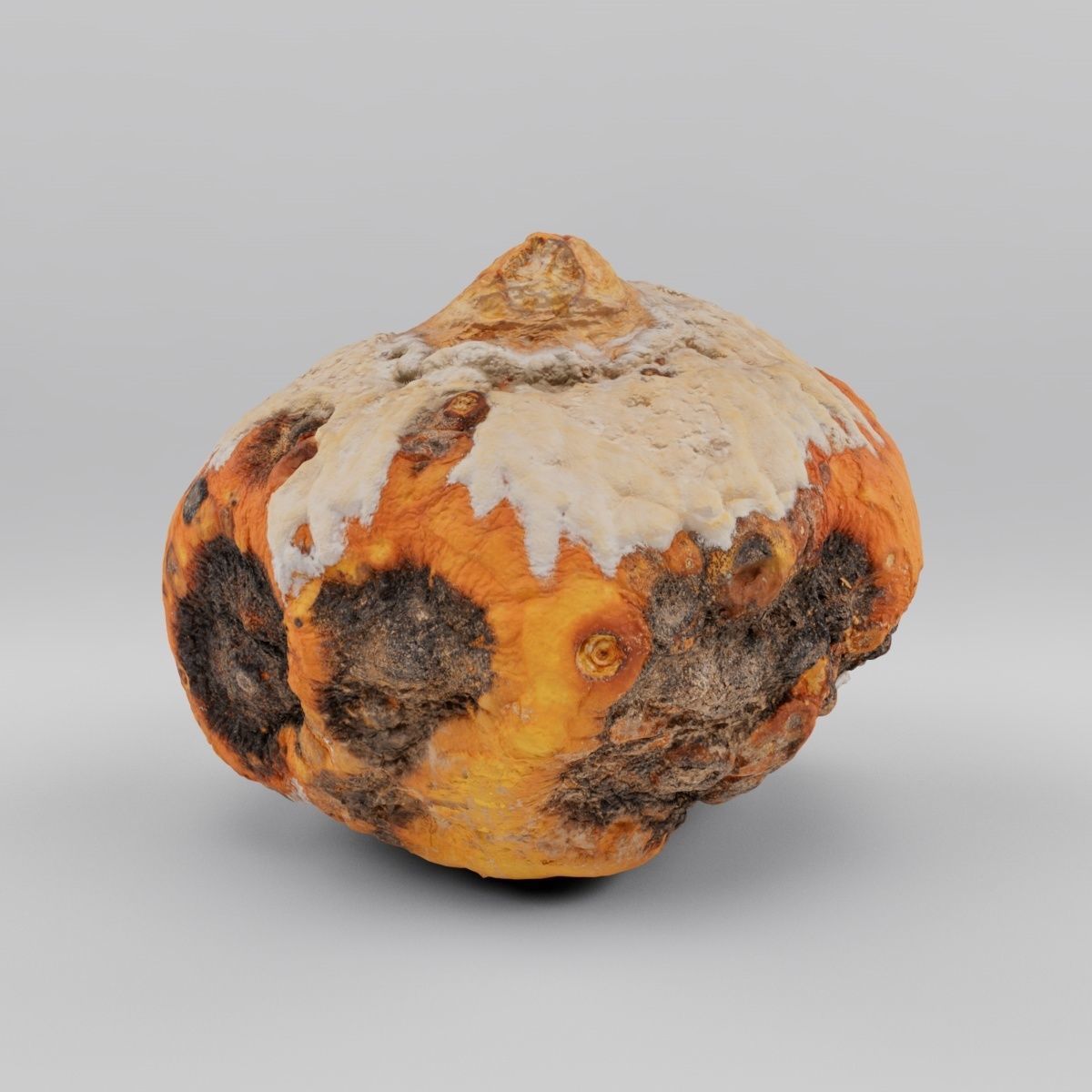 3D model Moldy pumpkin - Photoscan VR / AR / low-poly | CGTrader