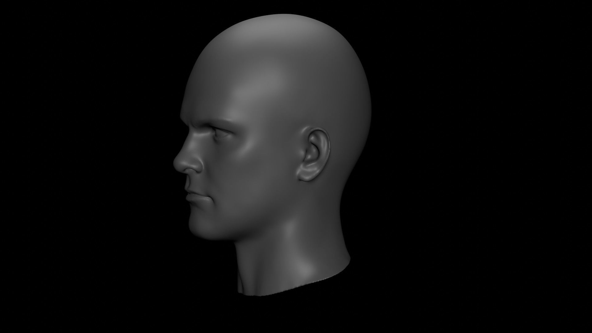 Male Head free 3D model | CGTrader