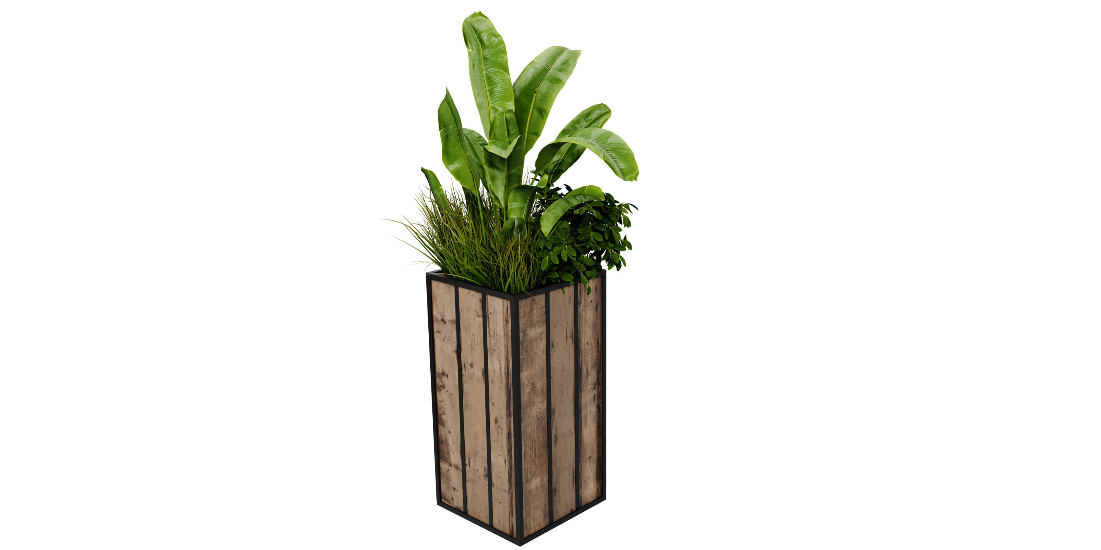 Collection plant vol 514 - blender model 3D model | CGTrader
