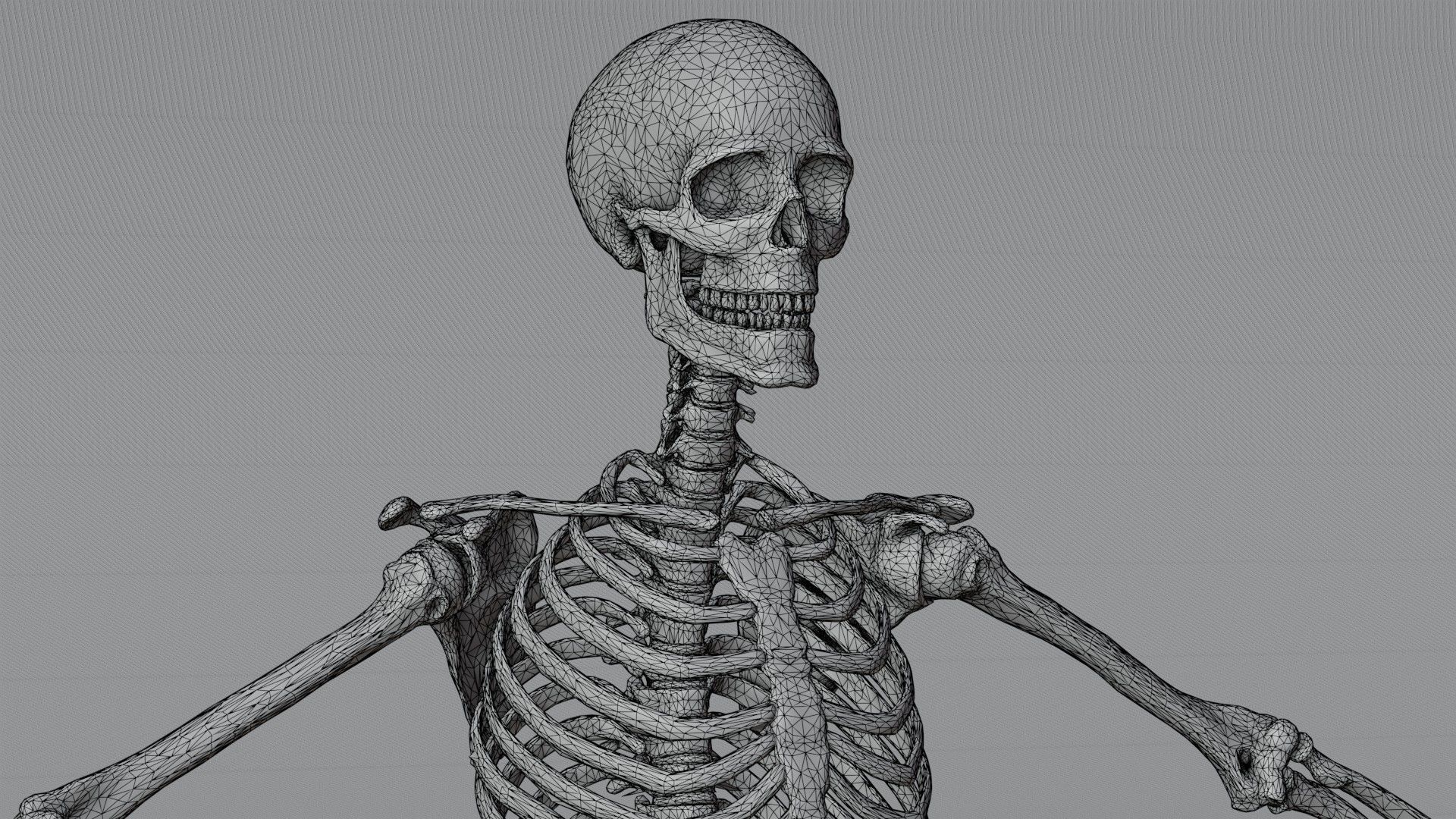 3D model Sceleton rigged pack VR / AR / low-poly | CGTrader