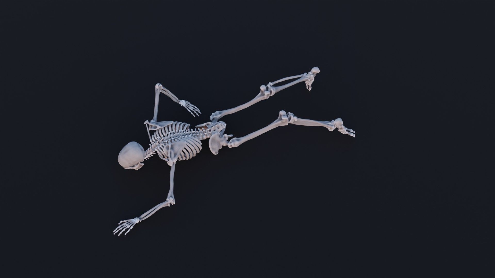 3D model Sceleton rigged pack VR / AR / low-poly | CGTrader