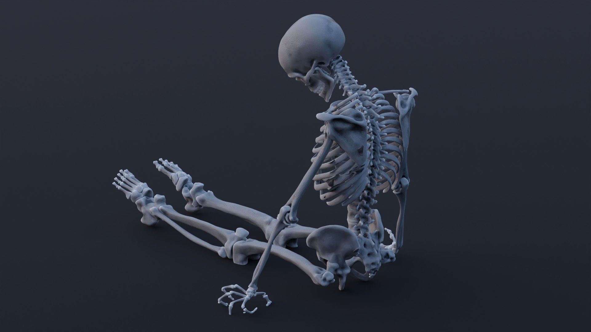 3D model Sceleton rigged pack VR / AR / low-poly | CGTrader