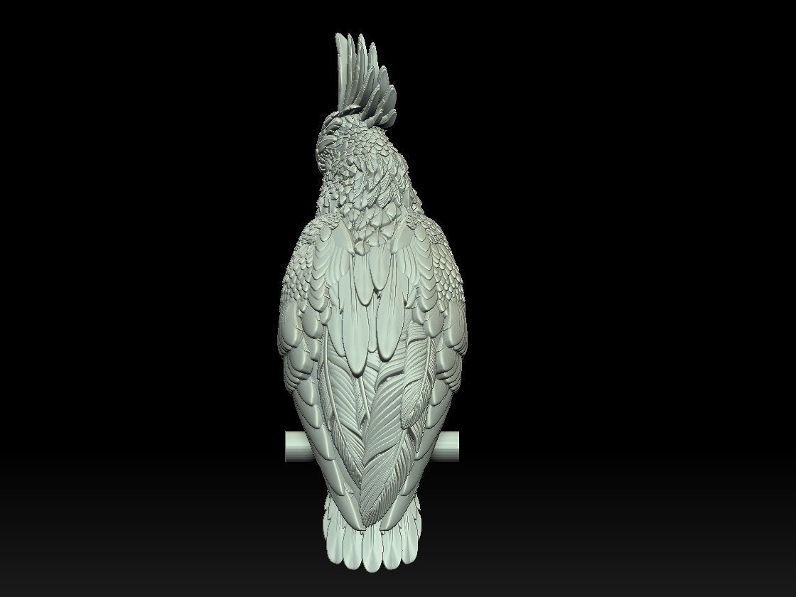 parrot 3D model 3D printable | CGTrader