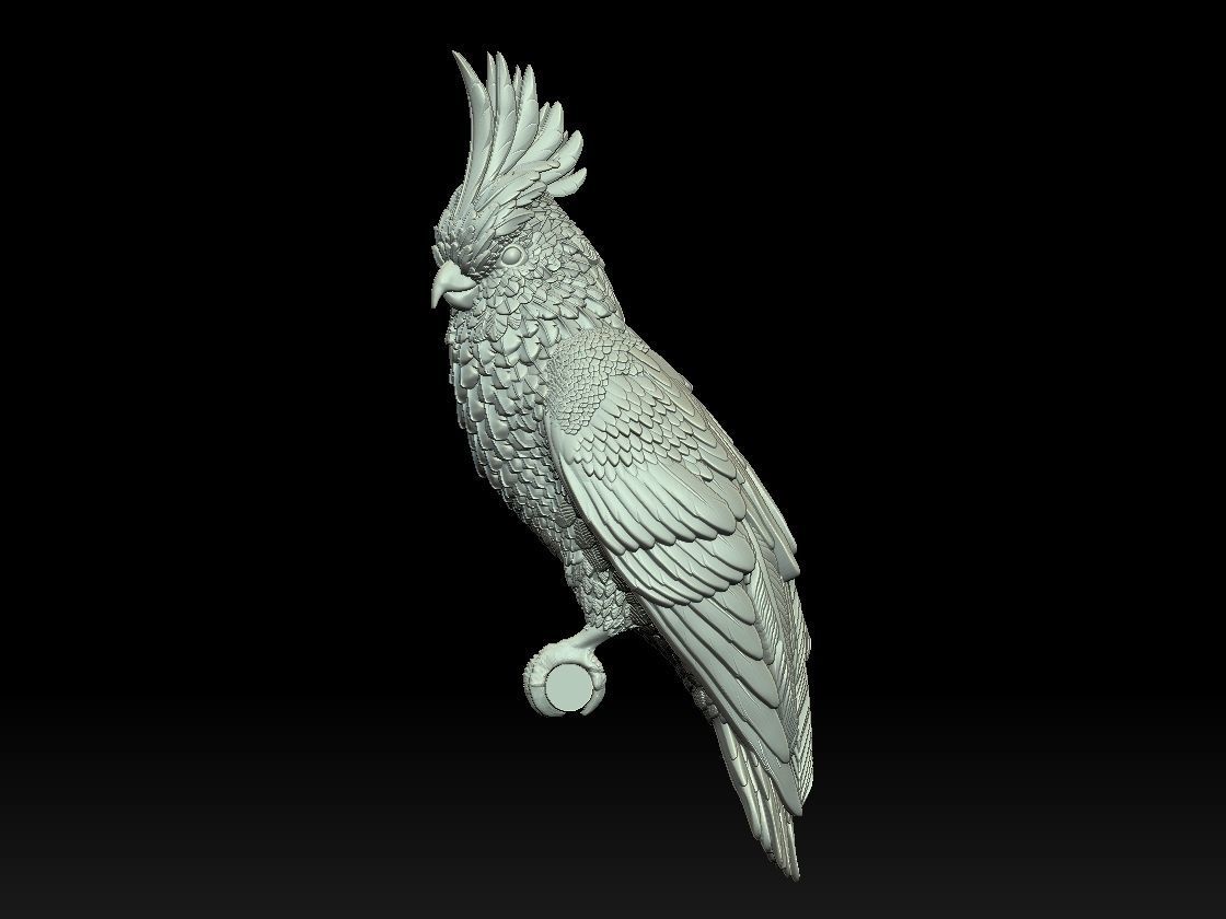 parrot 3D model 3D printable | CGTrader