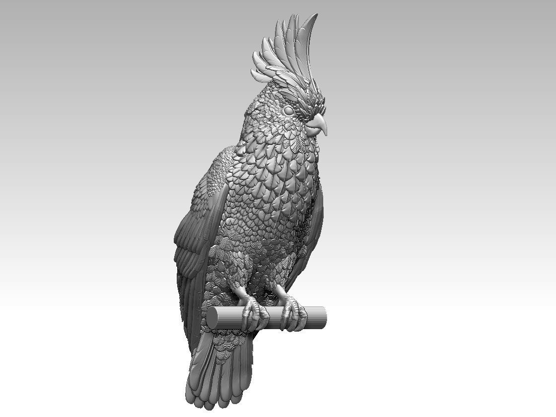parrot 3D model 3D printable | CGTrader