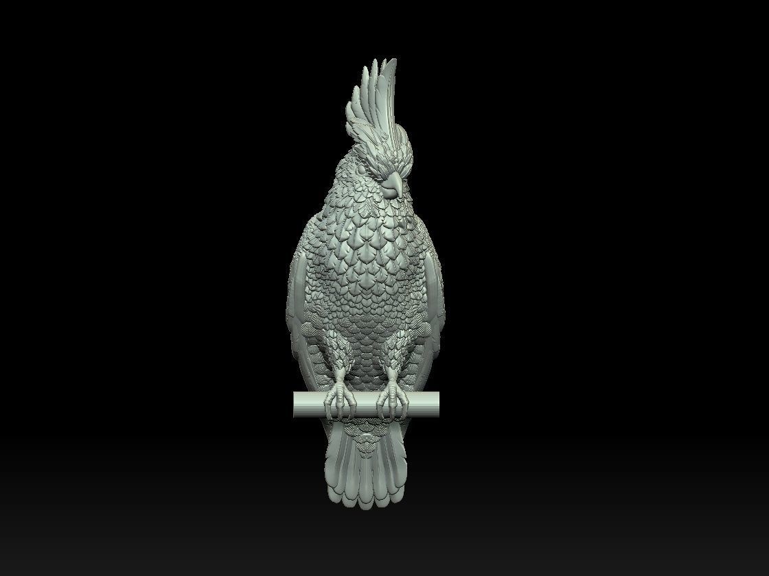parrot 3D model 3D printable | CGTrader